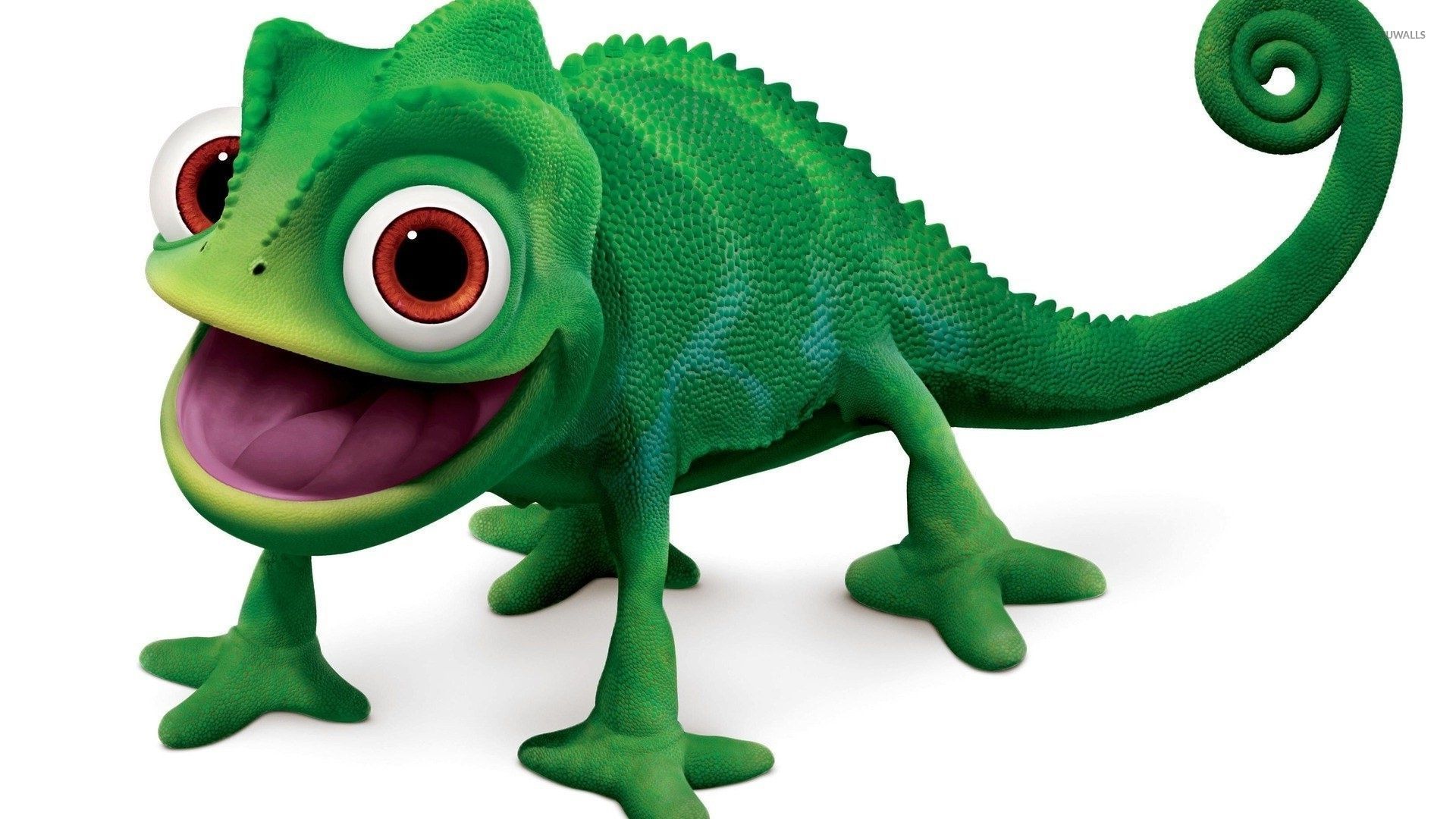 Pascal Tangled Wallpaper Cartoon Wallpapers 32552