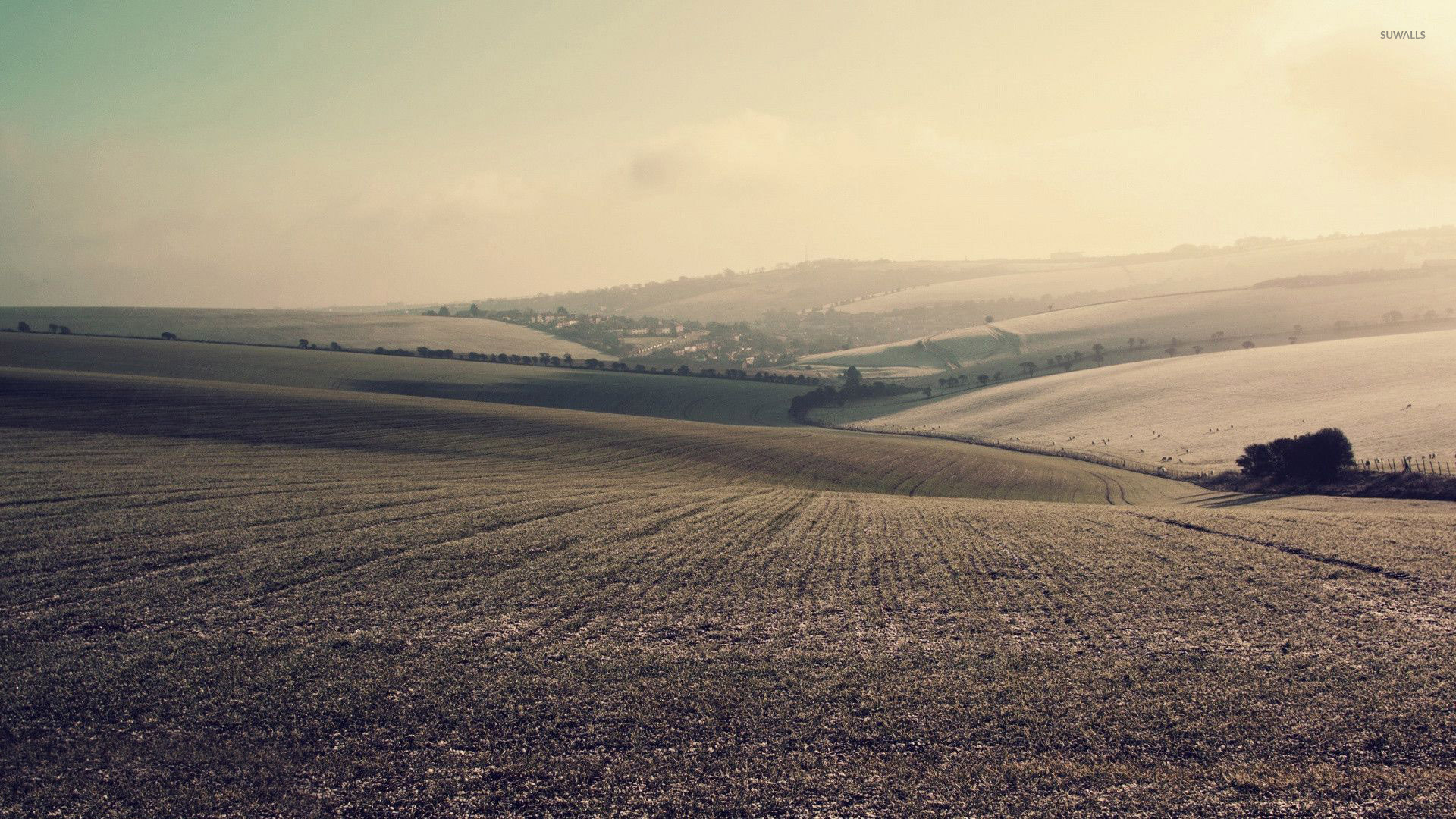 Empty Field On The Hills Wallpaper Nature Wallpapers 28746 Empty Field On The Hills Wallpaper Nature Wallpapers 28746